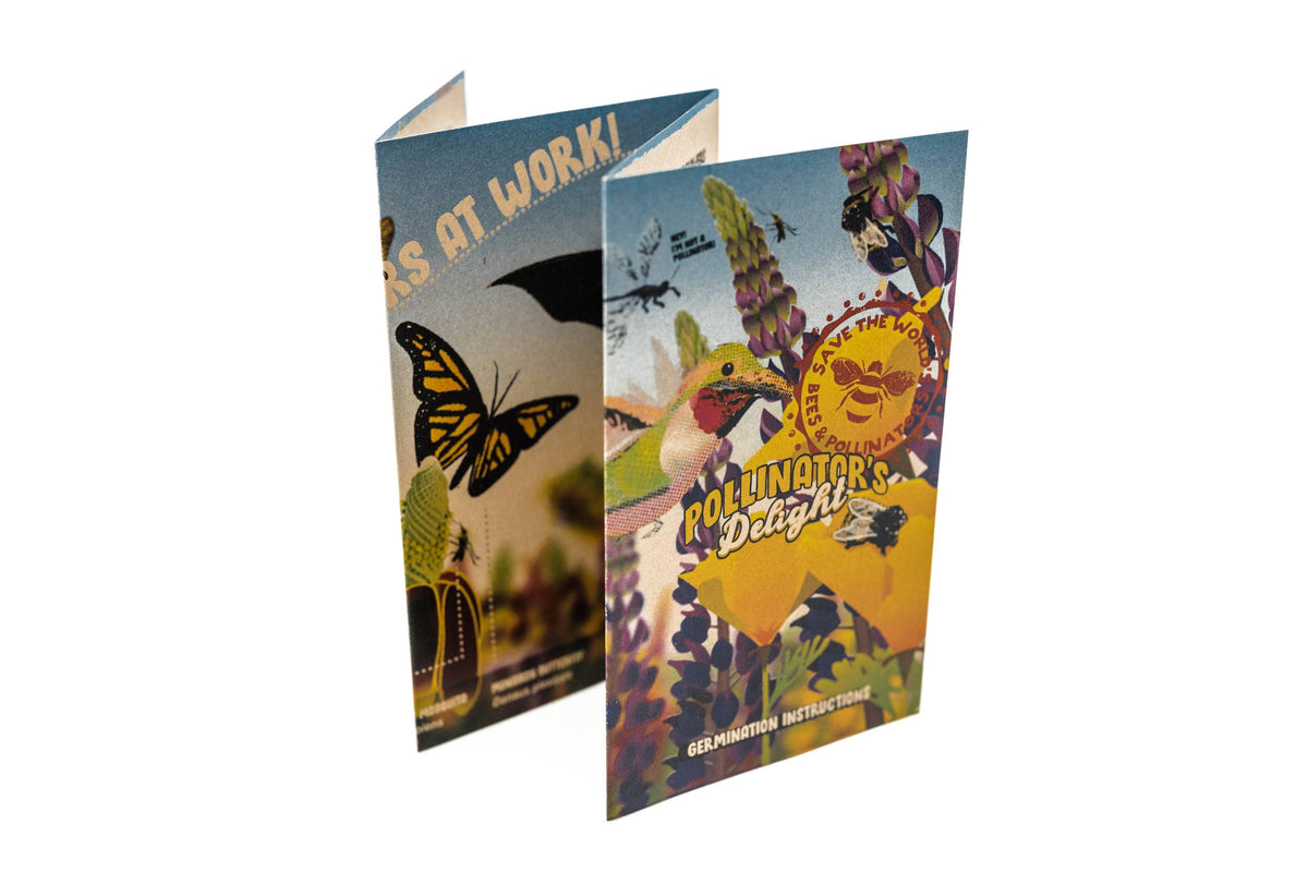 Pollinator's Delight | Flower Seed Grow Kit – Skylar & Skyler
