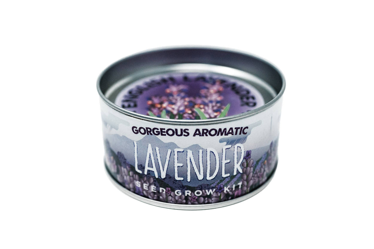 Lavender Flower Seed Grow Kit Skylar Skyler